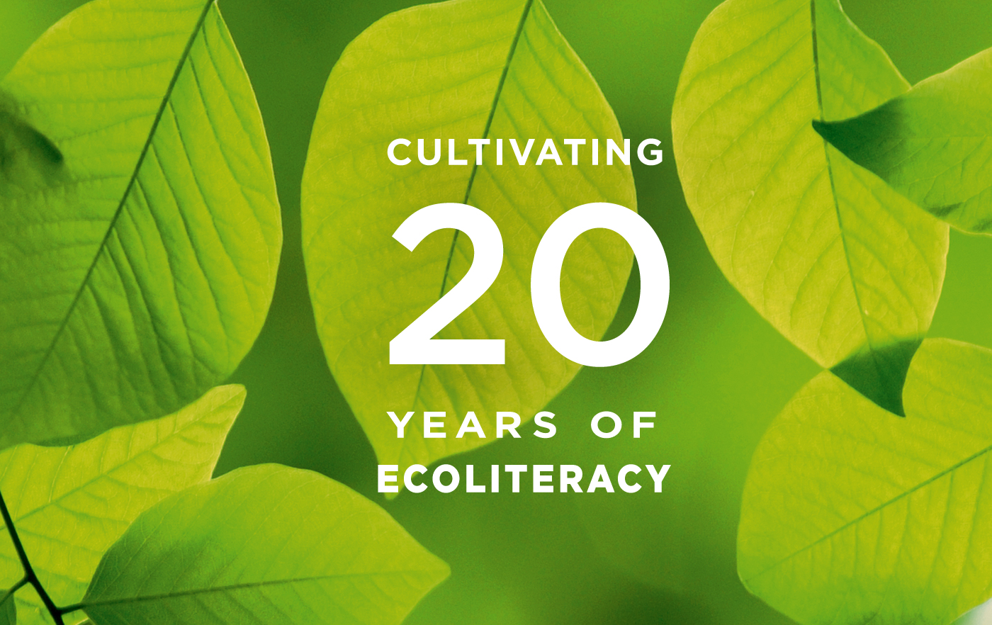 Cultivating 20 Years of Ecoliteracy | ecoliteracy.org