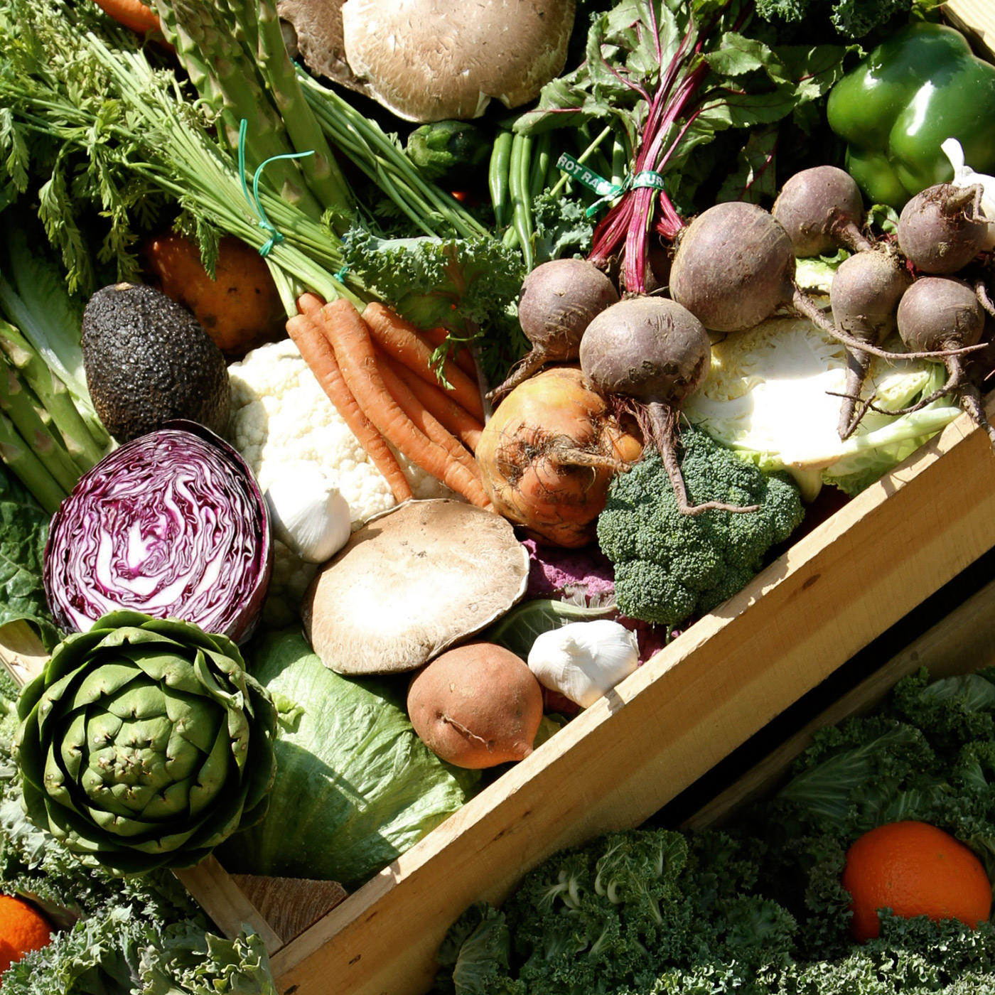 Sustaining the Pleasure of Good Eating | ecoliteracy.org