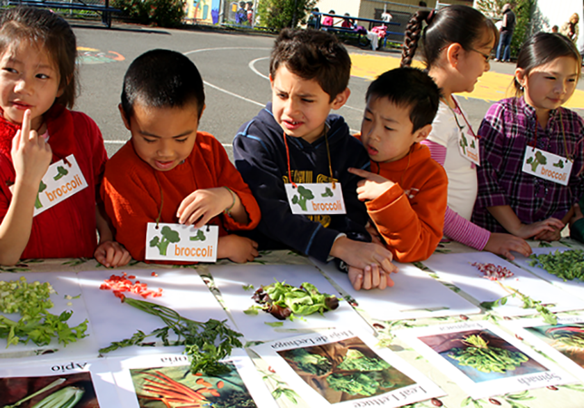 Helping Your School District Go Green: It Takes a System | ecoliteracy.org