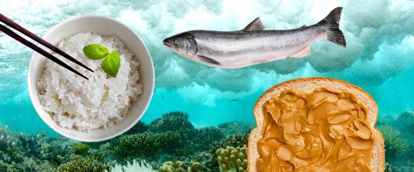 Understanding Food and Climate Change: An Interactive Guide ...